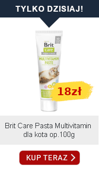 VetExpert Probiotyk BioProtect dla psa i kota op. 60 kapsułek